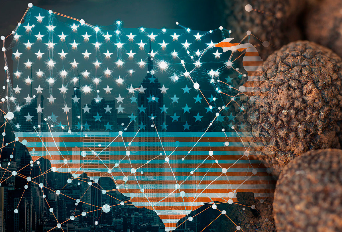Check Black Truffle Prices in the USA | Laumont USA