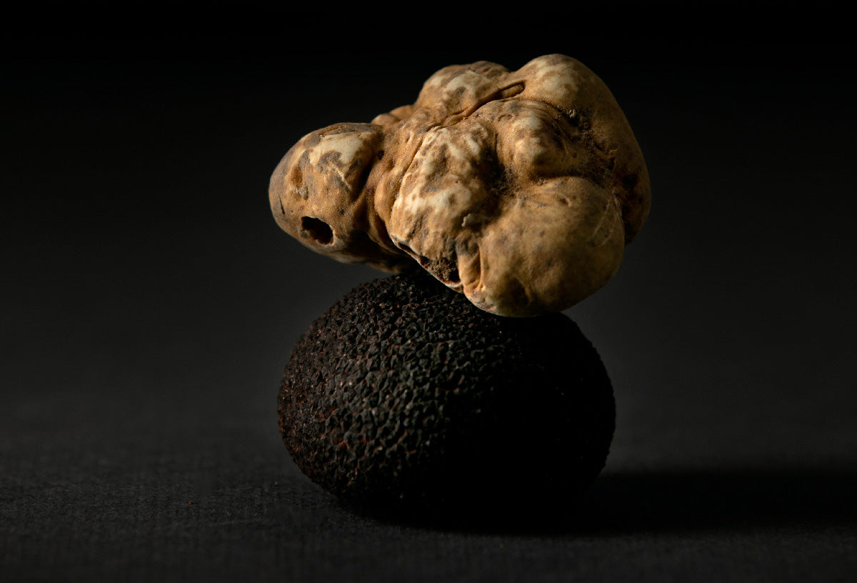 Differences Between White and Black Truffle | Laumont USA